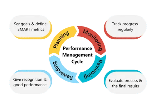 The Performance Management Cycle: A Roadmap to Employee Success